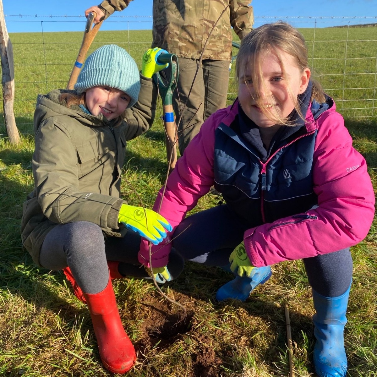 Wembury Primary School - Tree Planting